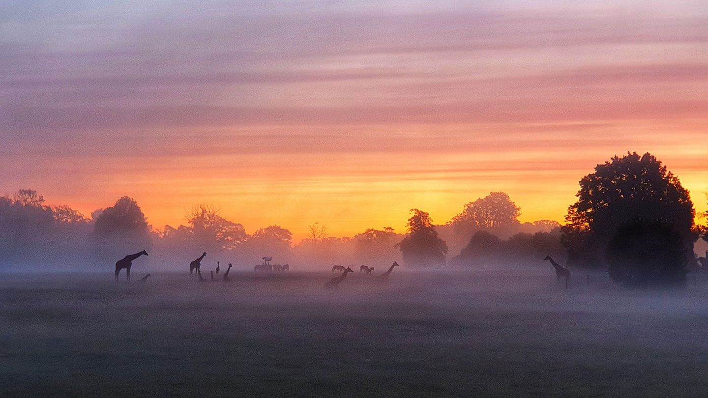 Knuthenborg Safaripark