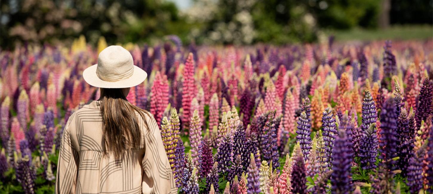 Velbesøgt turismedag og ny handleplan | VisitLolland-Falster